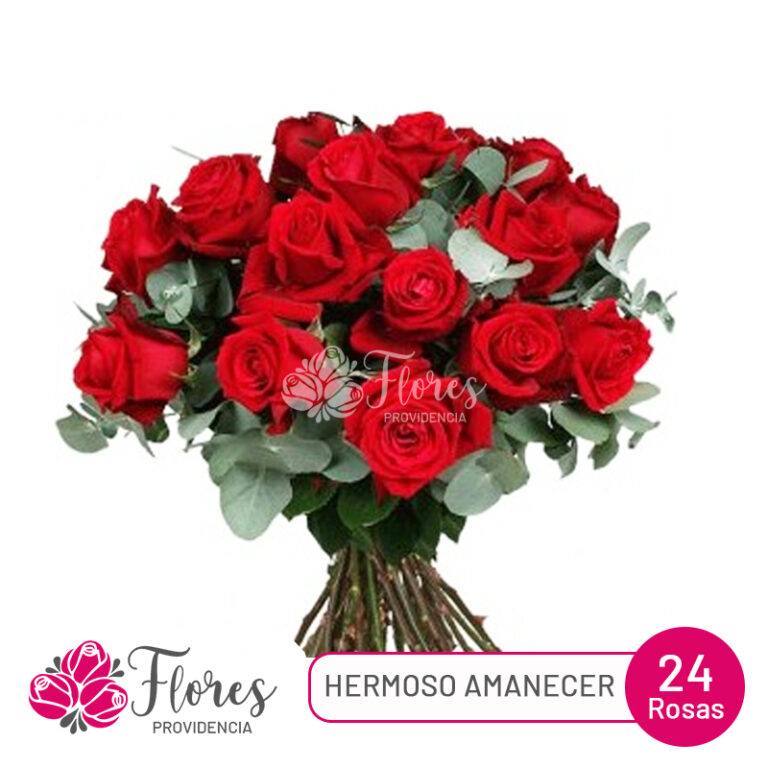 Flores Providencia