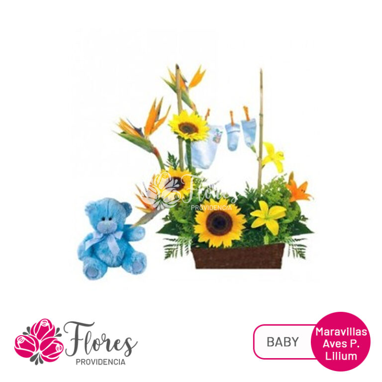 Baby - Flores Providencia